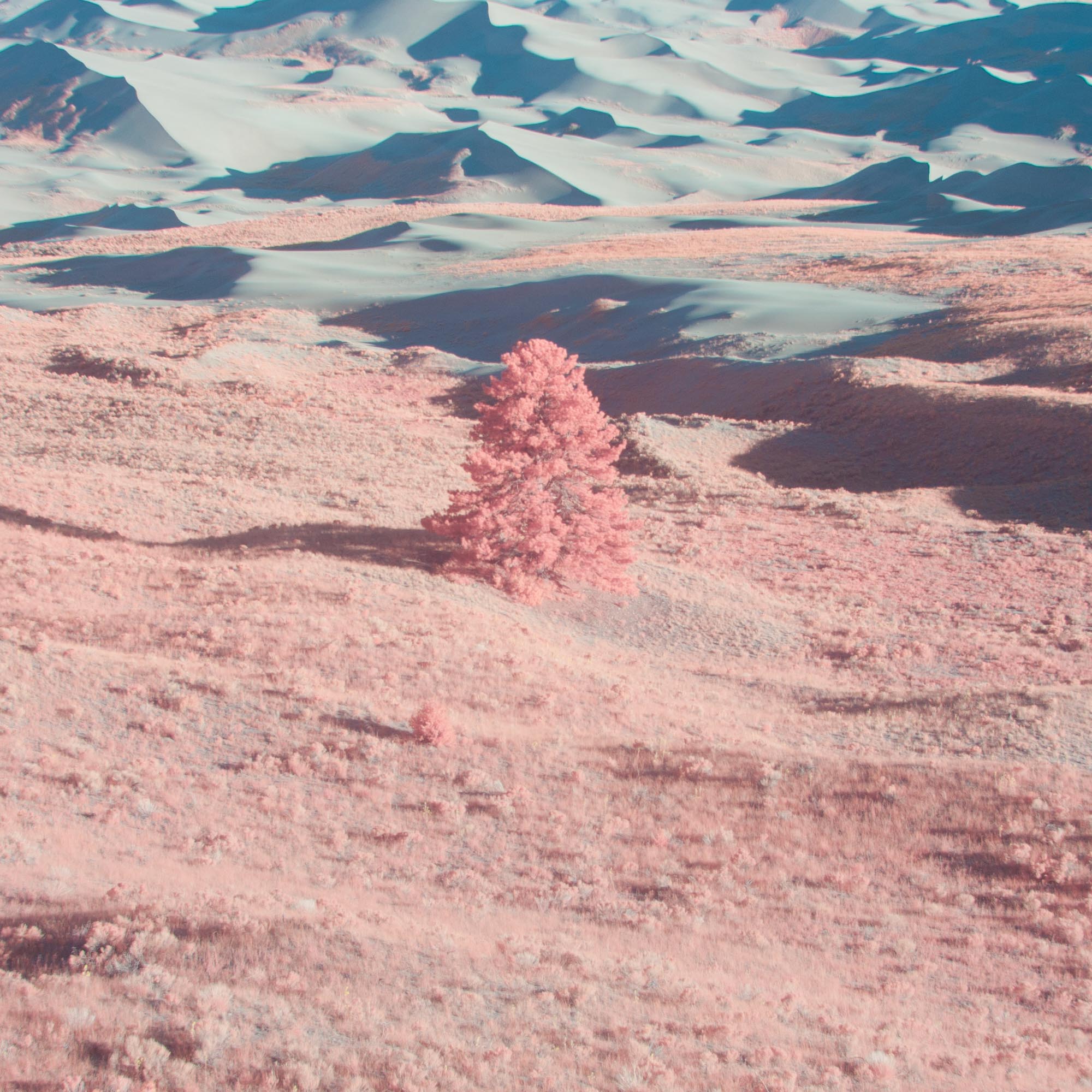 The worst camping trip I ever went on — ericportis.com