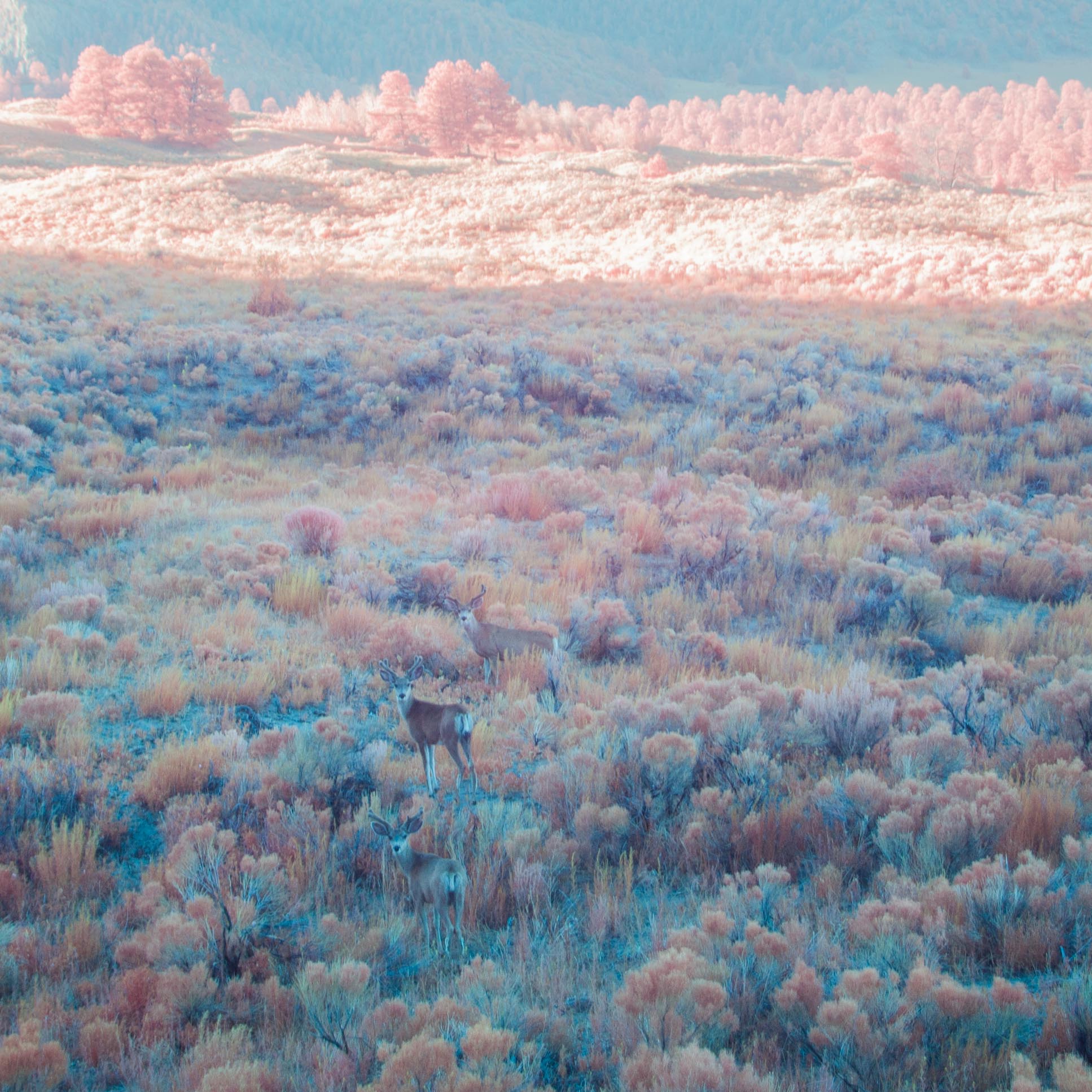 The worst camping trip I ever went on — ericportis.com